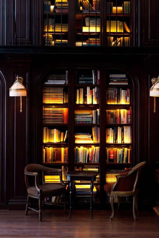 Bright Ideas for Lighting up Your Bookshelves – mydesignangel.in